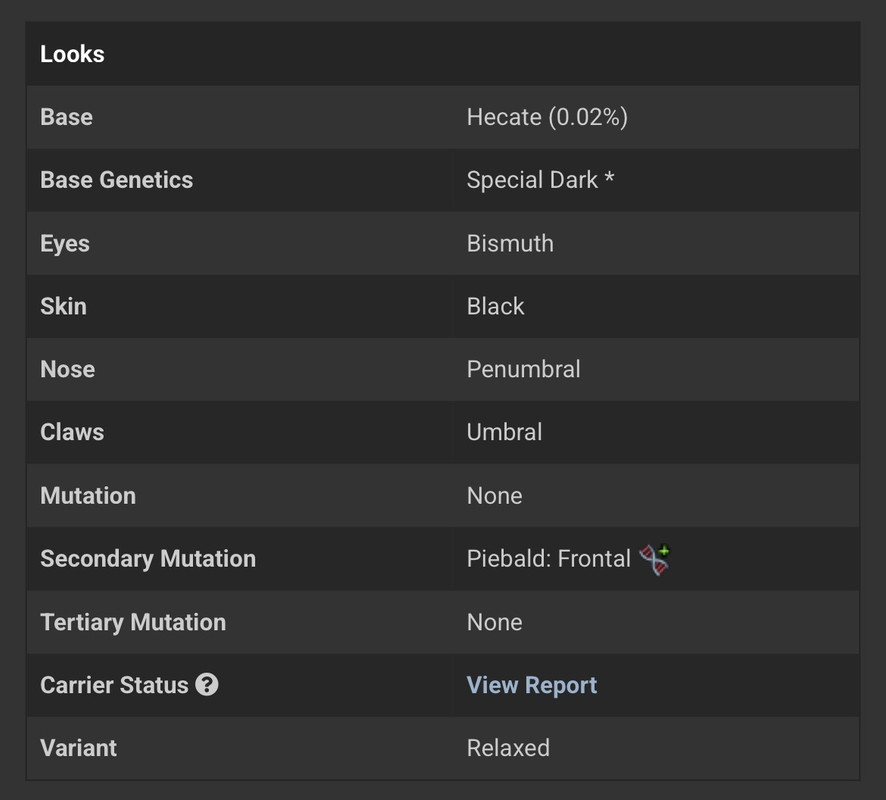 ♥𝐒𝐩𝐫𝐮𝐜𝐞♥ - (Hecate T* 10M) Piebald: Frontal | Bismuth | G2 |:| Wolvden