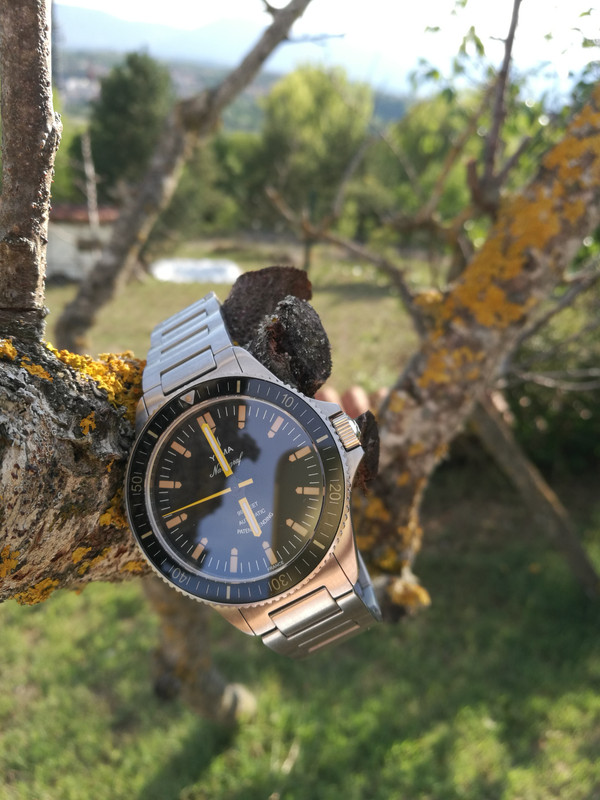 IMG 20220814 180006 — Postimages