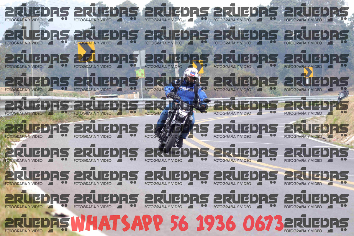 IMG 8782 — Postimages