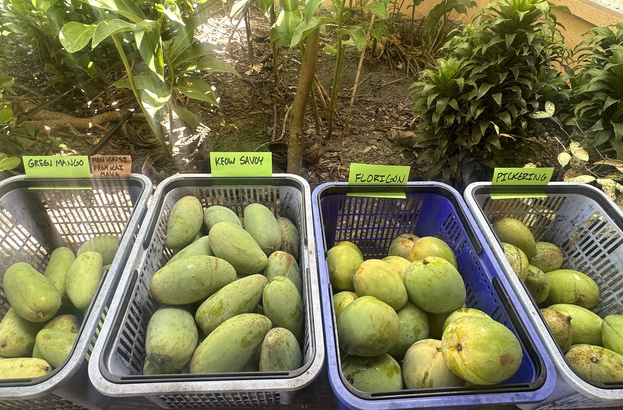 BDFC46 A9 F8 BC 4980 BB47 B2 D122 B379 B9 — Postimages