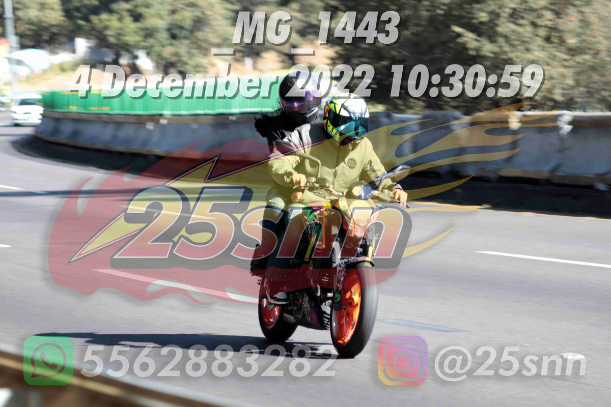 MG 1443 — Postimages