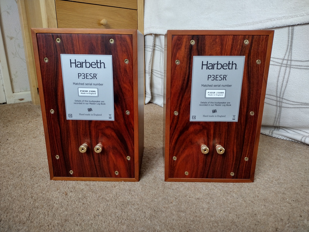 P3 ESR REAR — Postimages