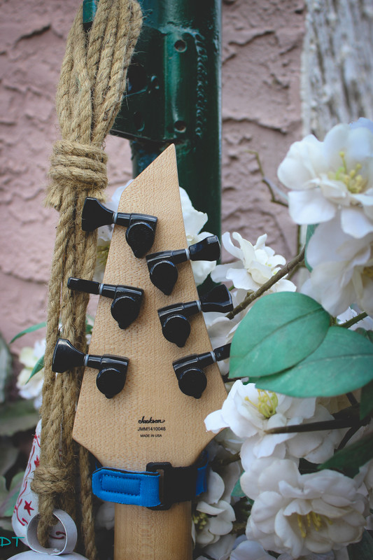 Back Head — Postimages