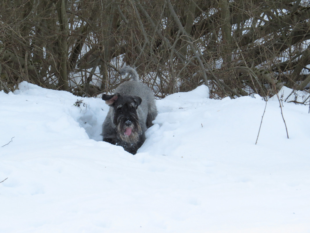 IMG 4635 — Postimages