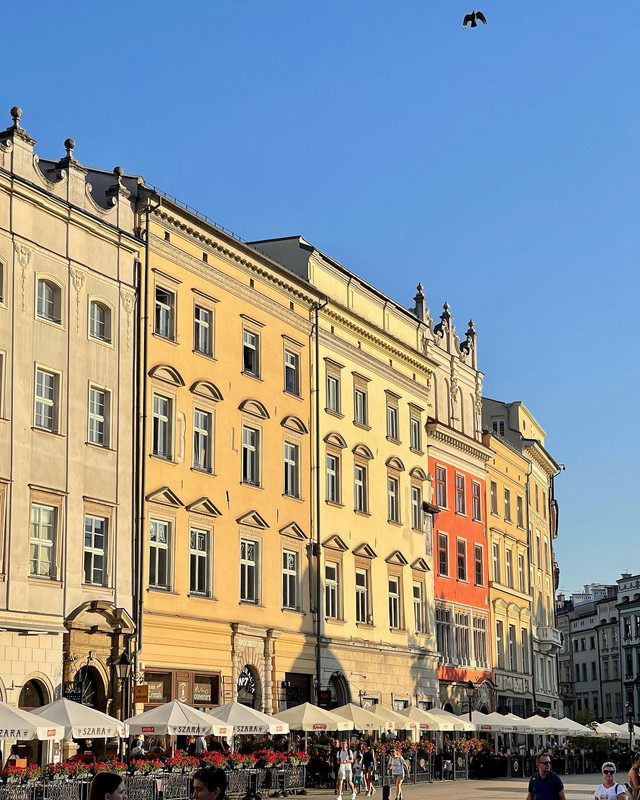 22348 B9 D 4797 45 A6 9154 AC482 E5 D8 D19 — Postimages