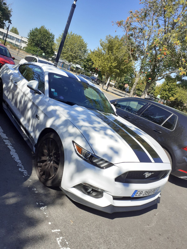 20220813 111113 — Postimages