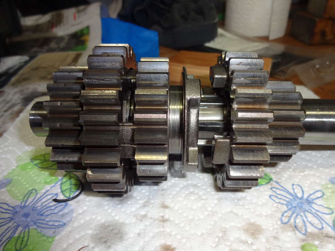 DSC05331 — Postimages