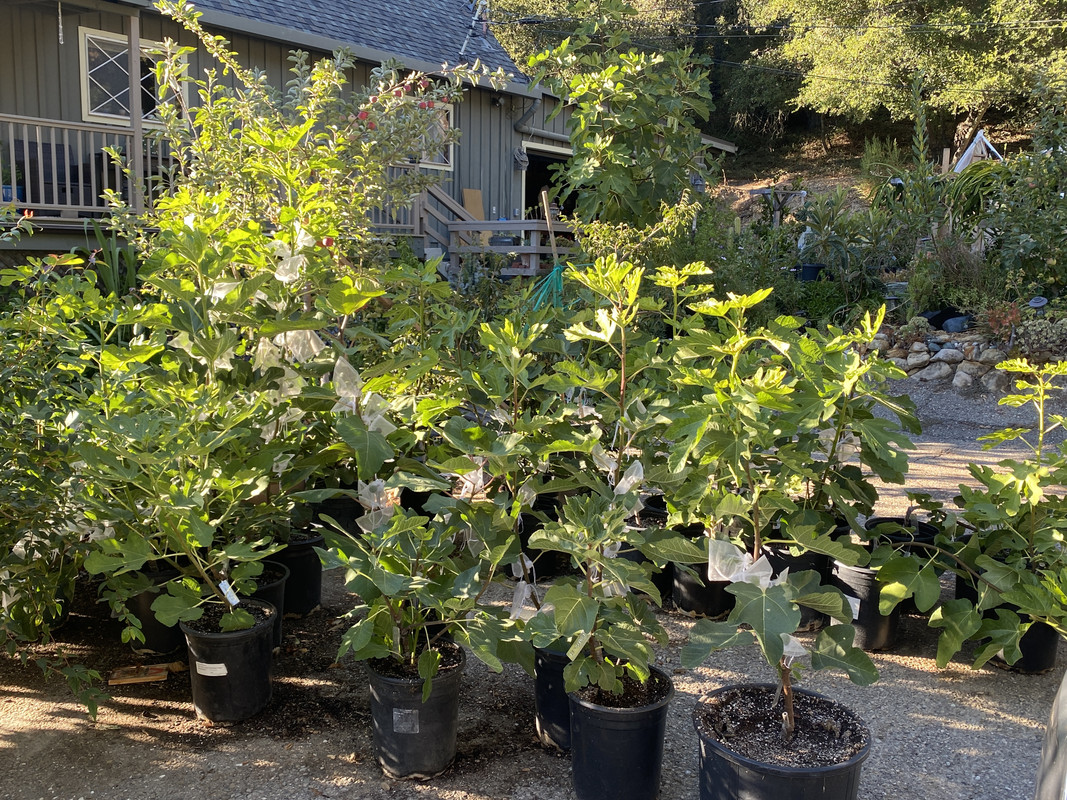 6123 D8 D6 E3 E9 49 A7 B6 A0 8 C374 Ae76 Ea8 — Postimages