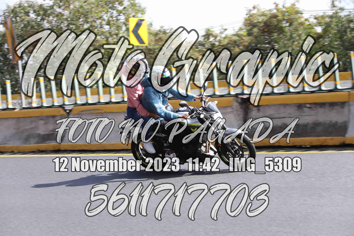 motgr IMG 5309 — Postimages