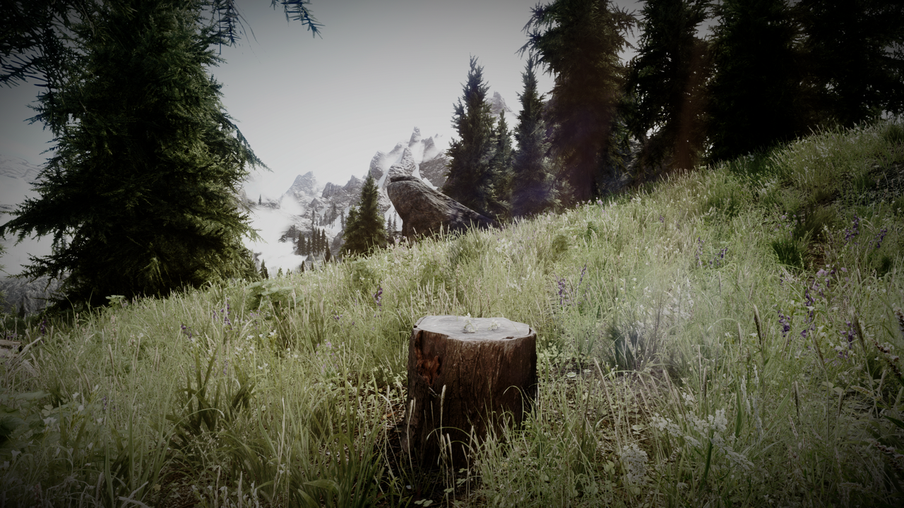 Elder Scrolls V Skyrim Screenshot 2019 04 02 19 14 18 68 — Postimages