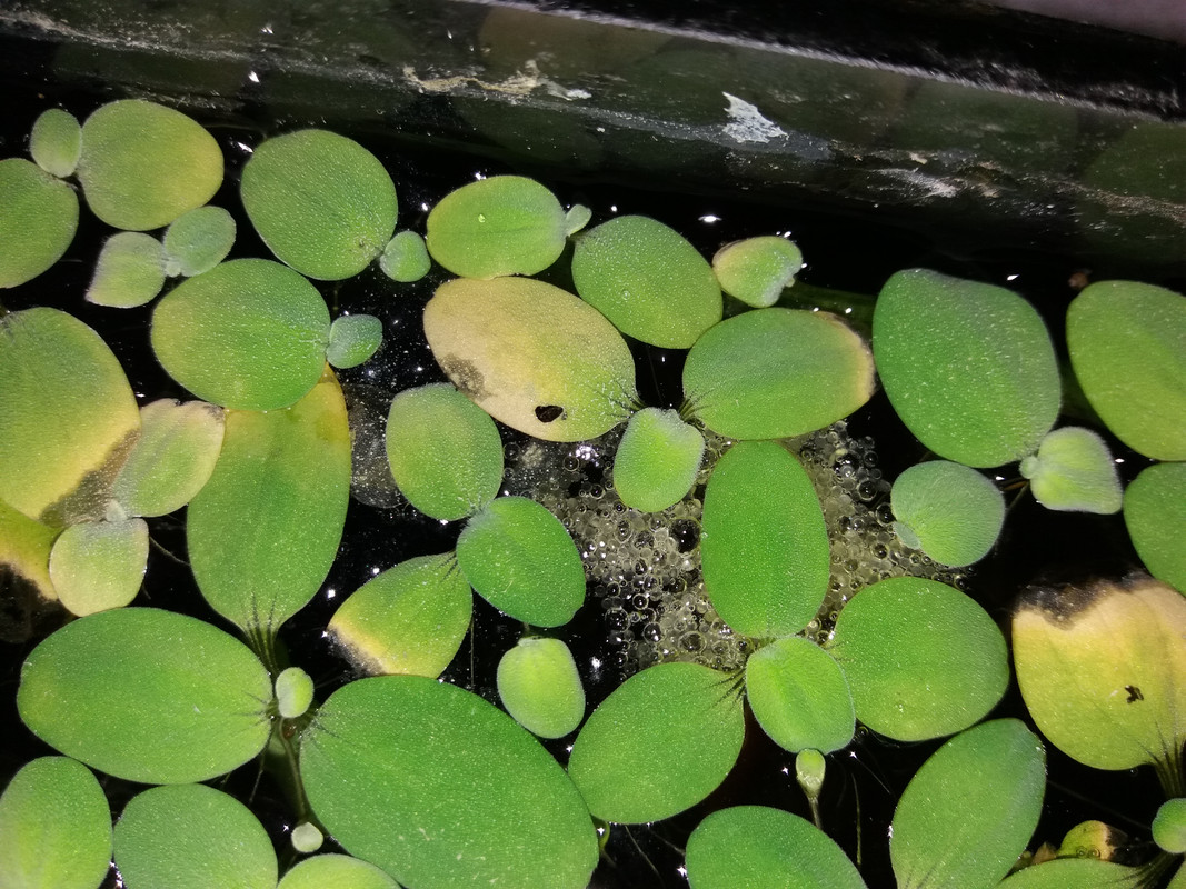 20170720 185950 — Postimages