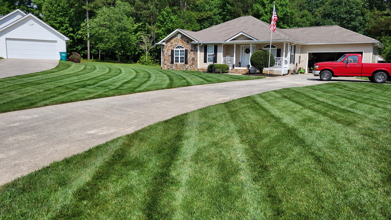 cool season grass in the transition zone(NE georgia) | Lawn Care Forum