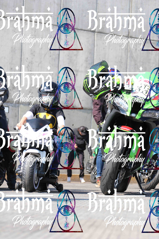 IMG 1229 — Postimages