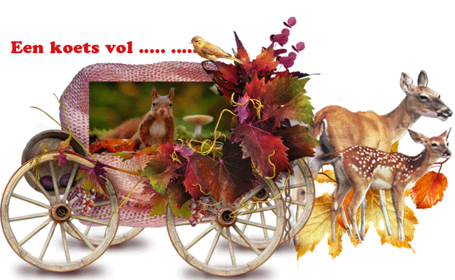 Corba Jack powerpoints