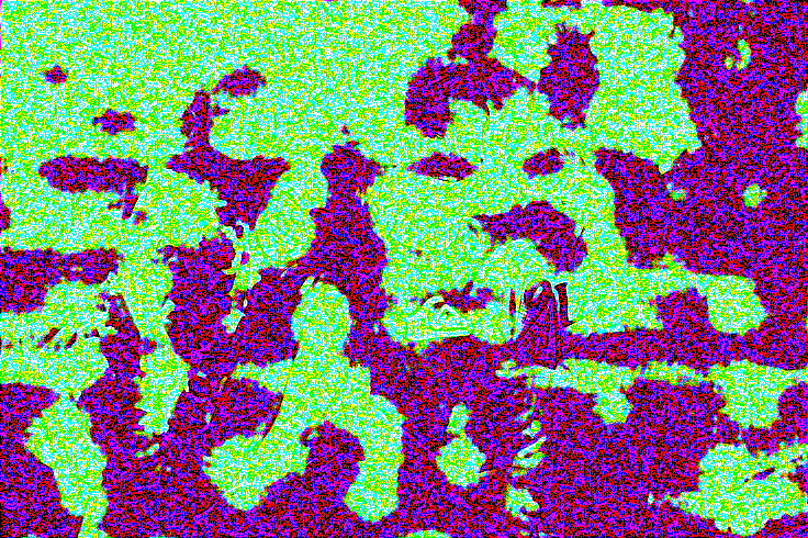 Mangling Images Using FFT : r/GIMP