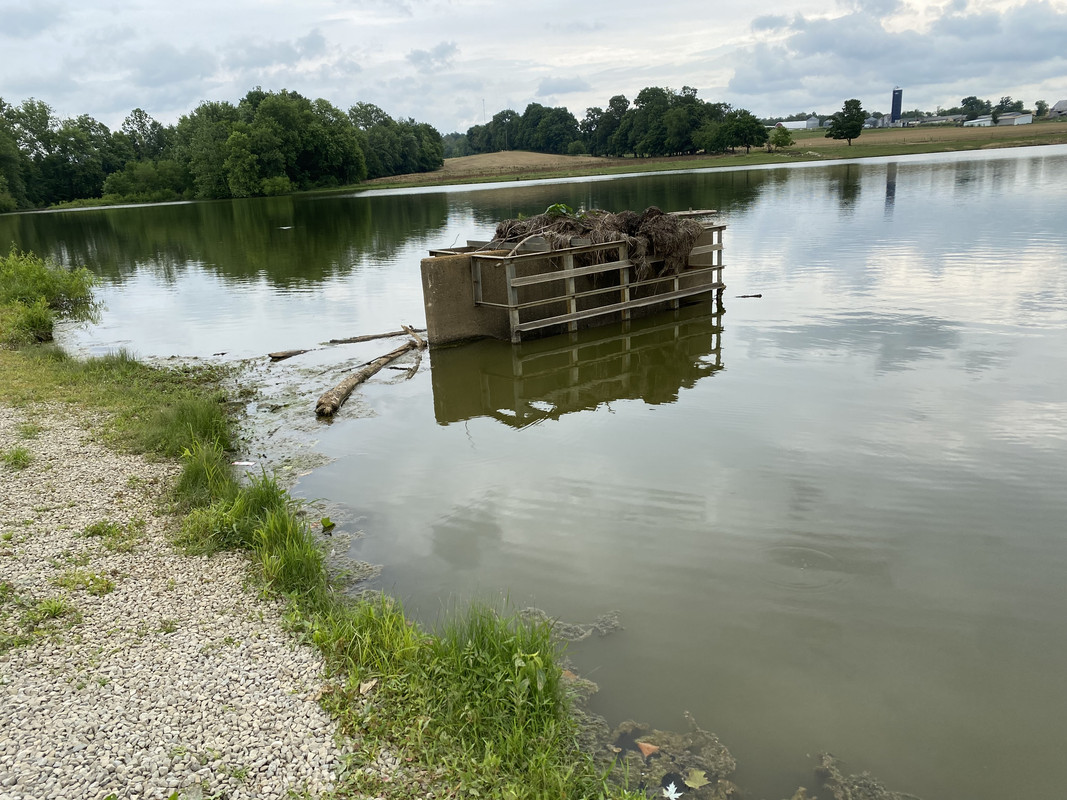 How do bass respond to a water outlet/intake? - General Bass Fishing ...