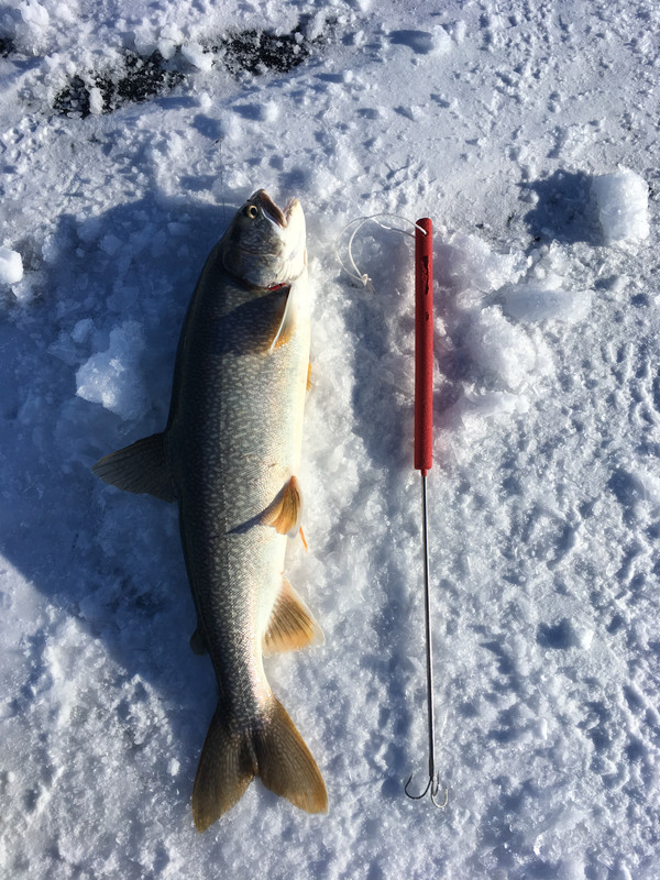 IMG 0846 — Postimages