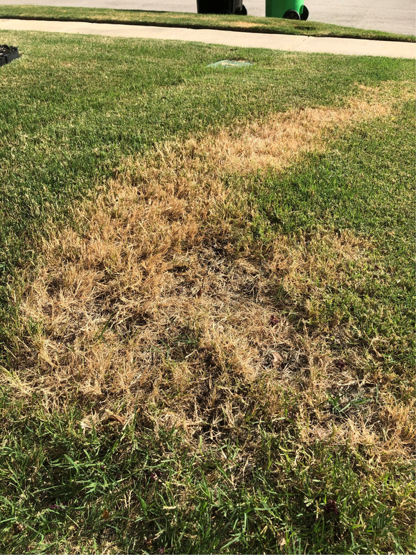 Lawn 2 — Postimages