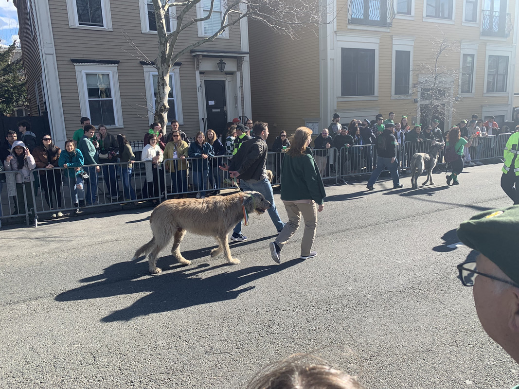 IMG 6334 — Postimages