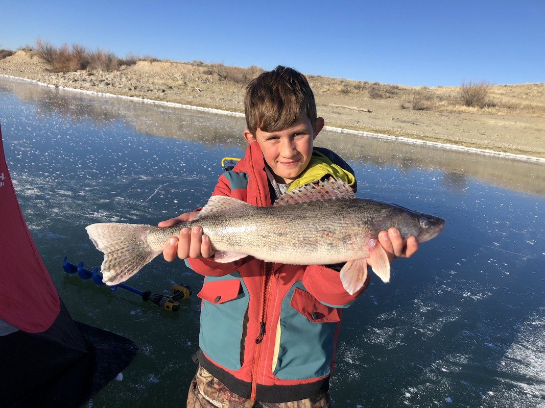 26 BAEA00 6889 43 C5 96 BA 79 BF2 D002 F98 — Postimages