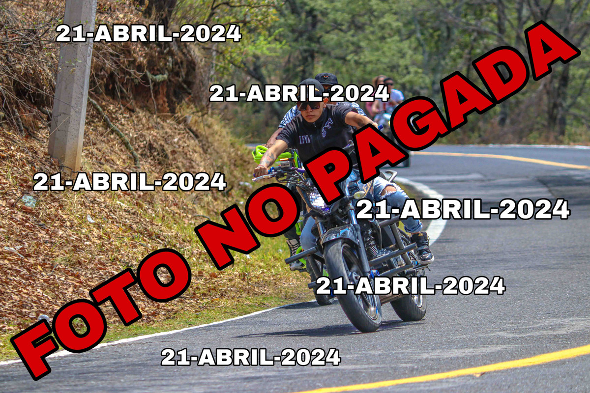 CA 1241 — Postimages