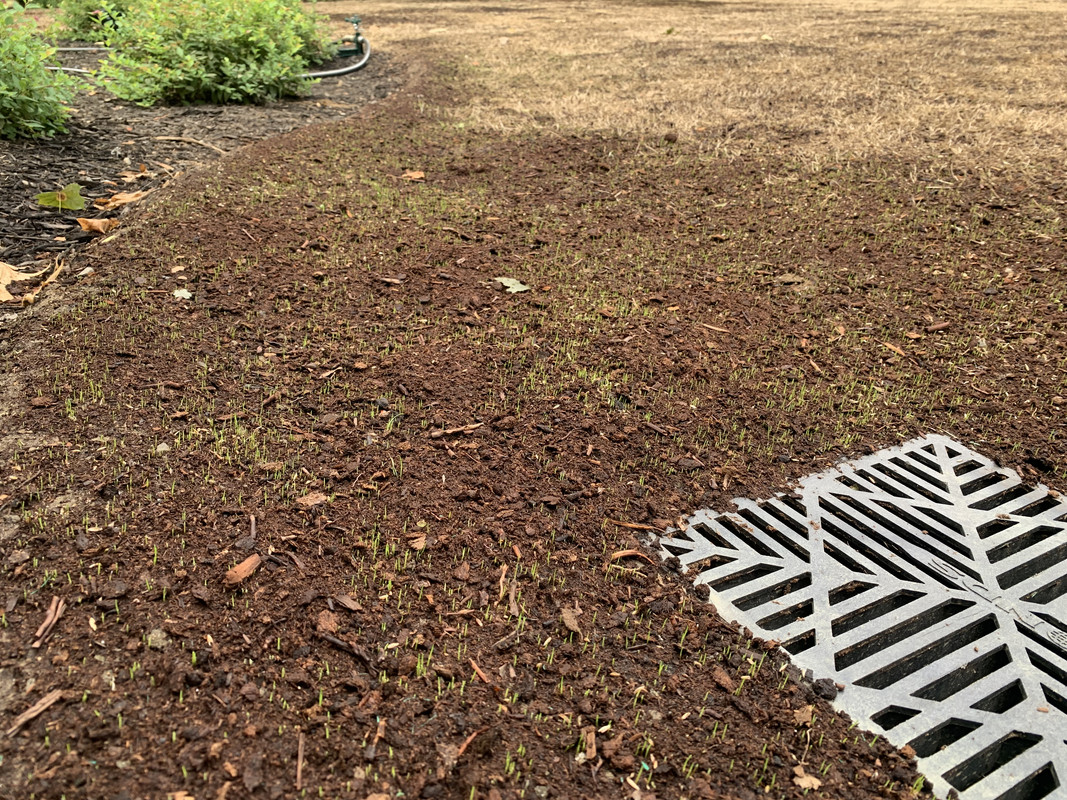 84 DB73 C0 001 E 41 E7 ADF2 A88257 BE85 BD — Postimages