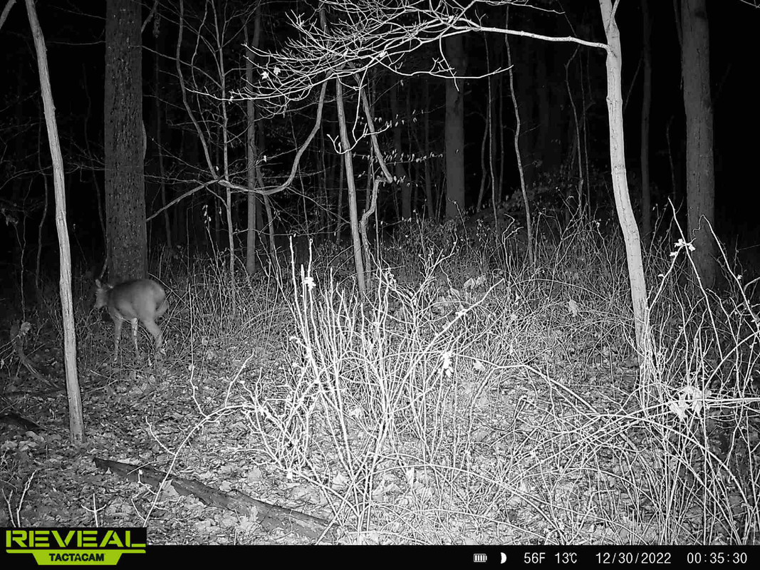 63 AD8725 48 C9 4526 A925 FB24972 EF4 E7 — Postimages