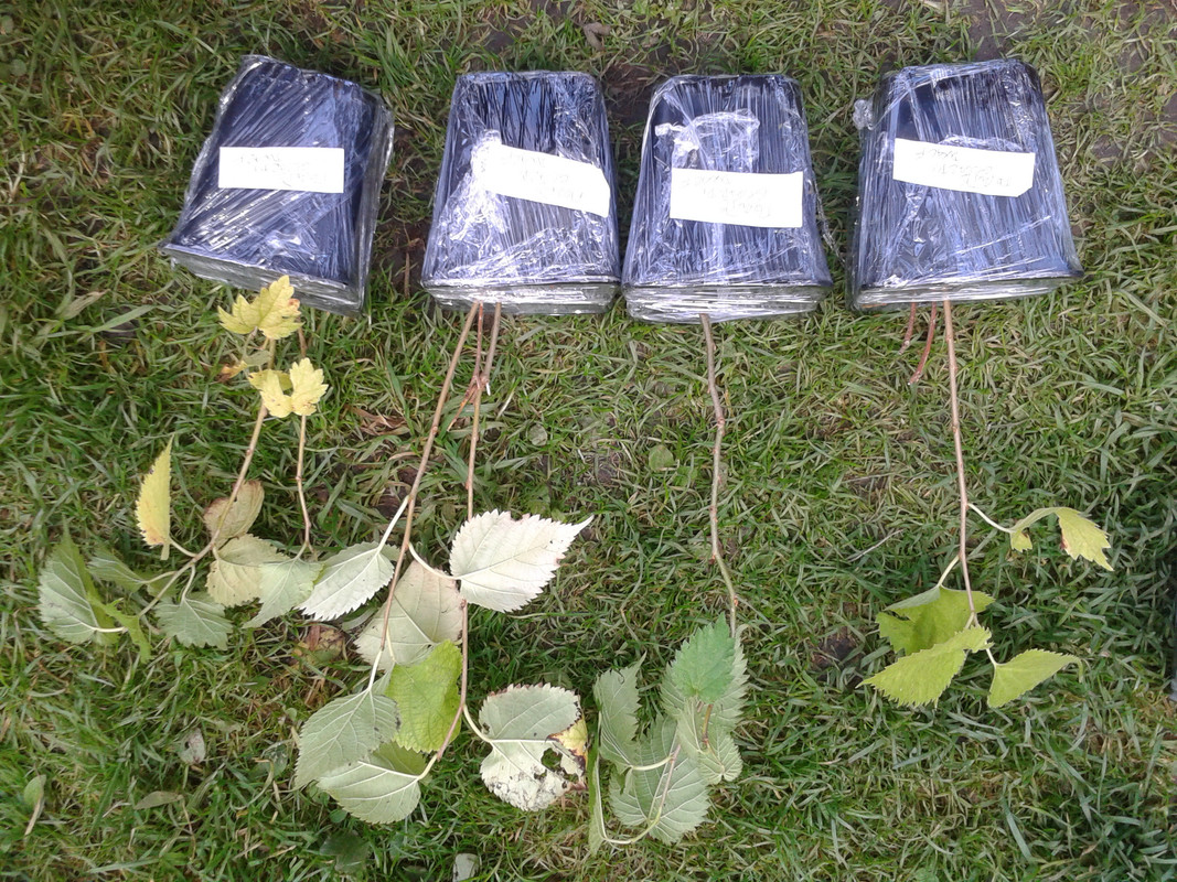 2023 09 27 13 40 27 — Postimages