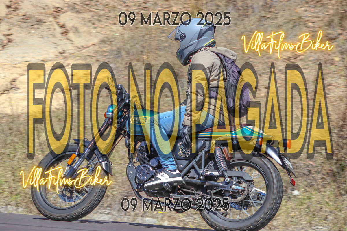 CS 1352 — Postimages