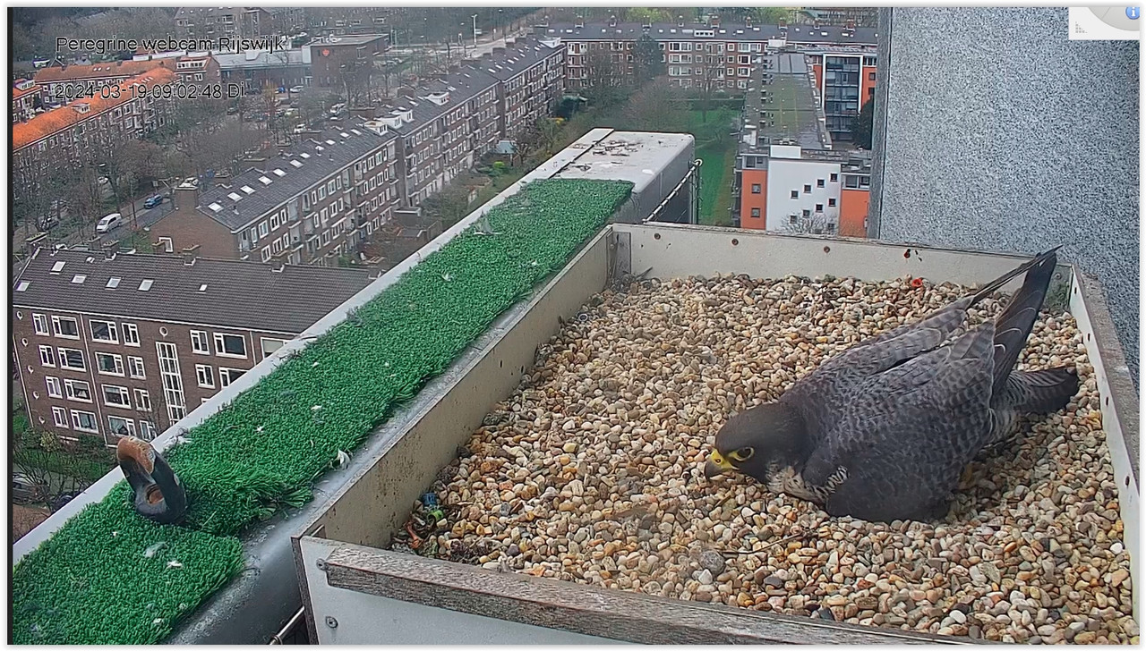 Screen Shot 03 19 24 at 09 04 AM 001 — Postimages