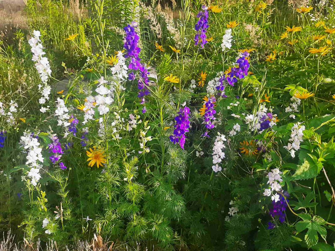 IMG a3c3a3277c175b58e2efb8b4a8a26da5 V — Postimages