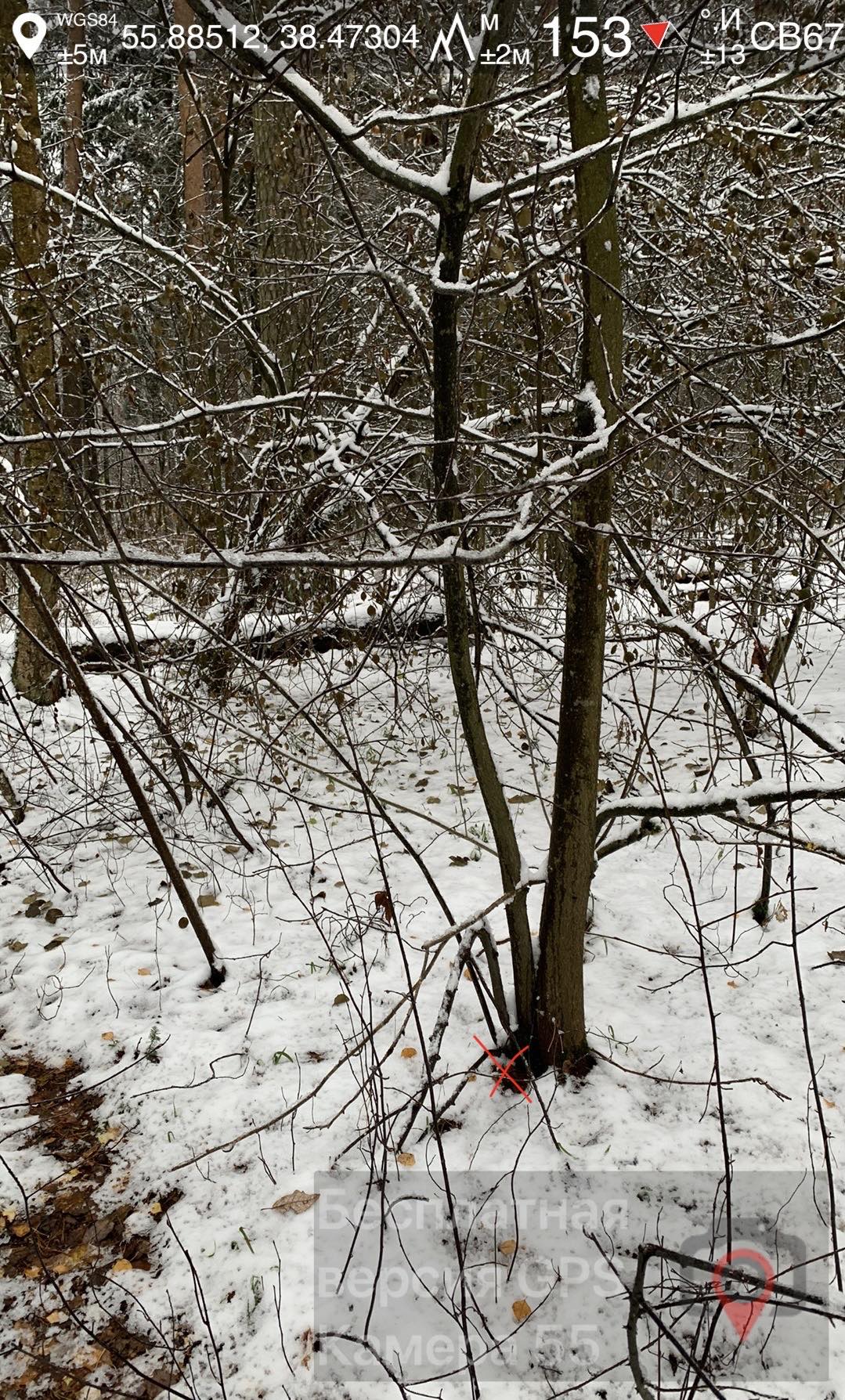 attachment (13) — Postimages