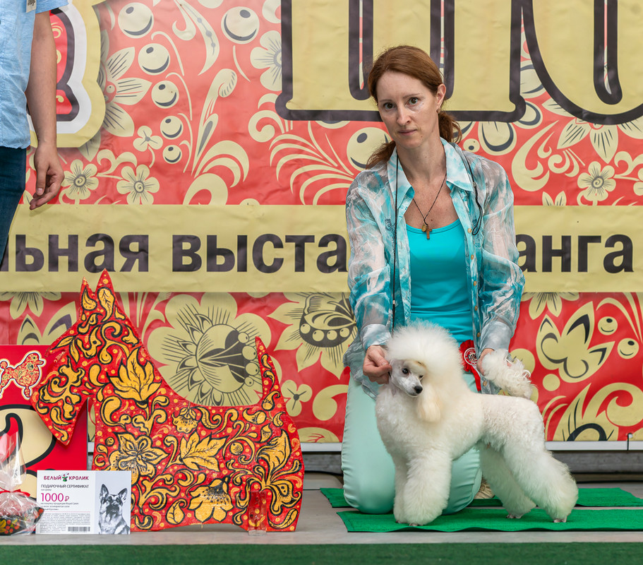 247 CR2 — Postimages