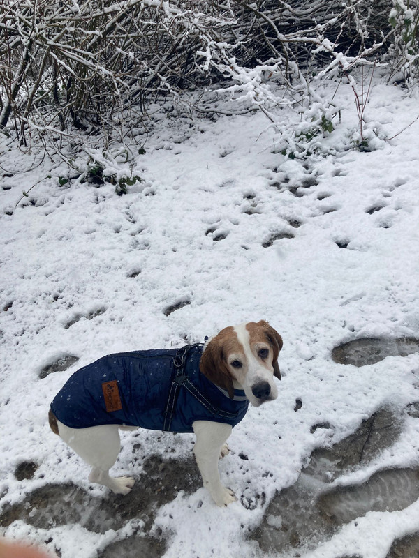 9154492d b7ee 4406 8926 108aa72c948a — Postimages