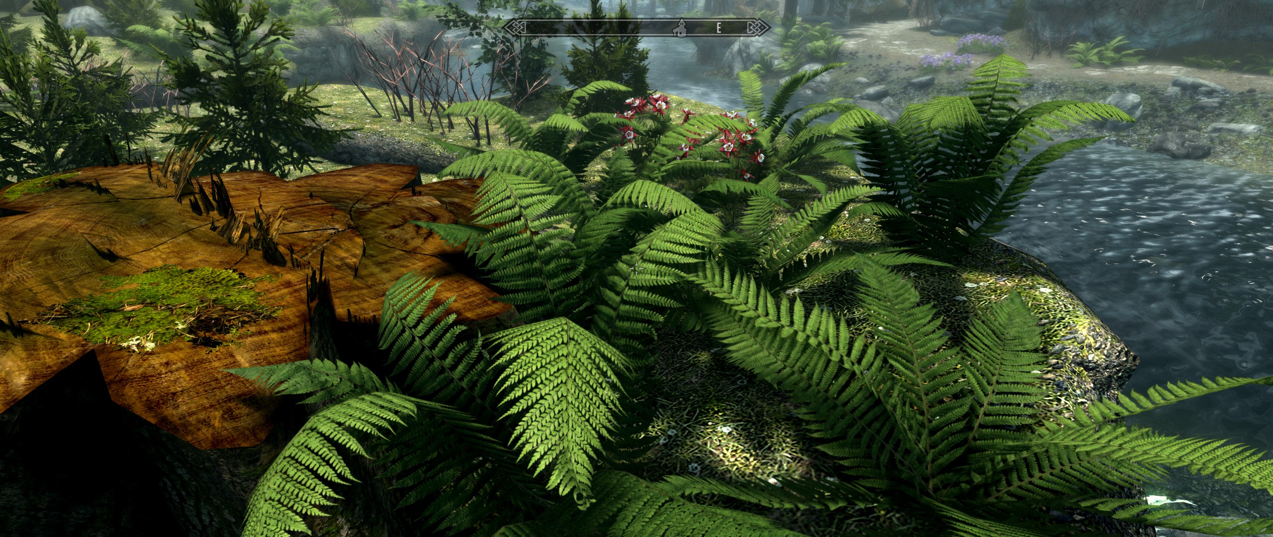 Skyrim 3D Trees and Plants - FERNS ONLY at Skyrim Special Edition Nexus ...