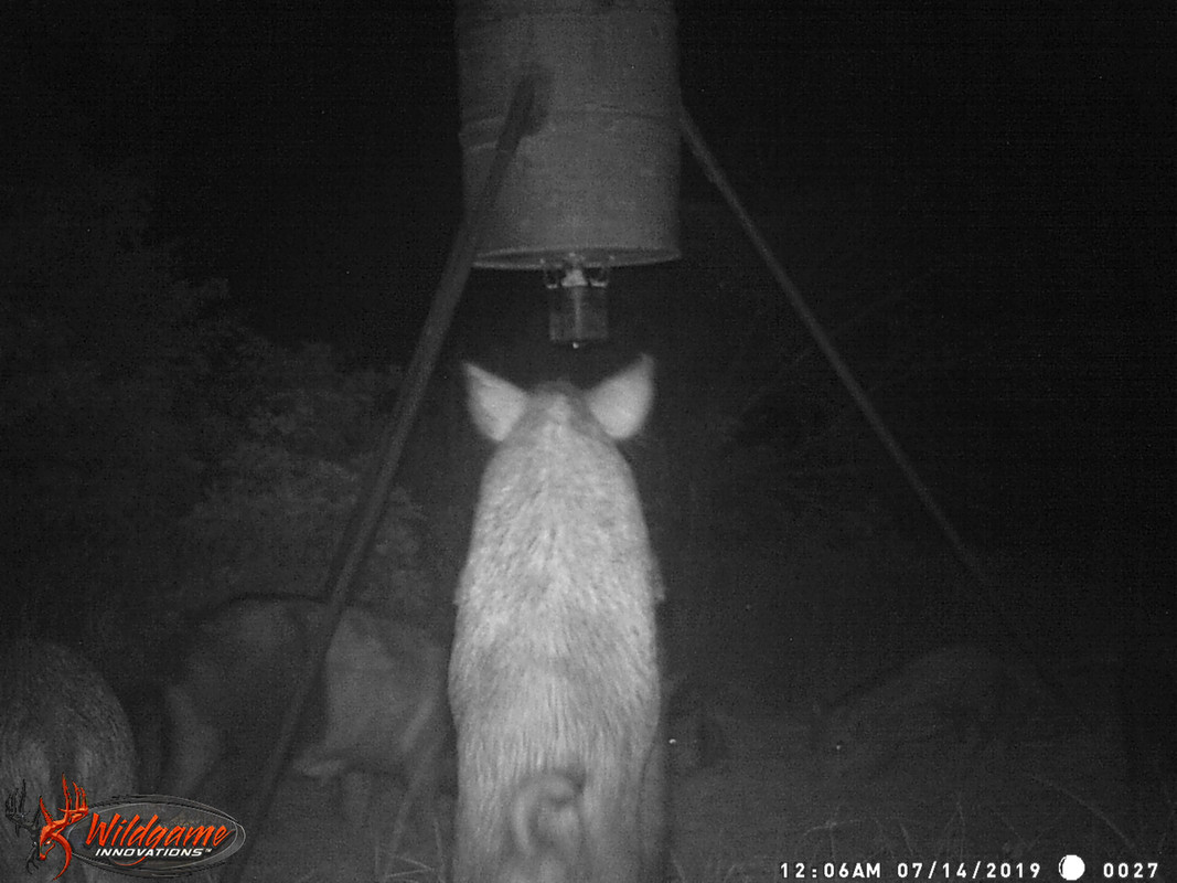 WGI 0027 — Postimages