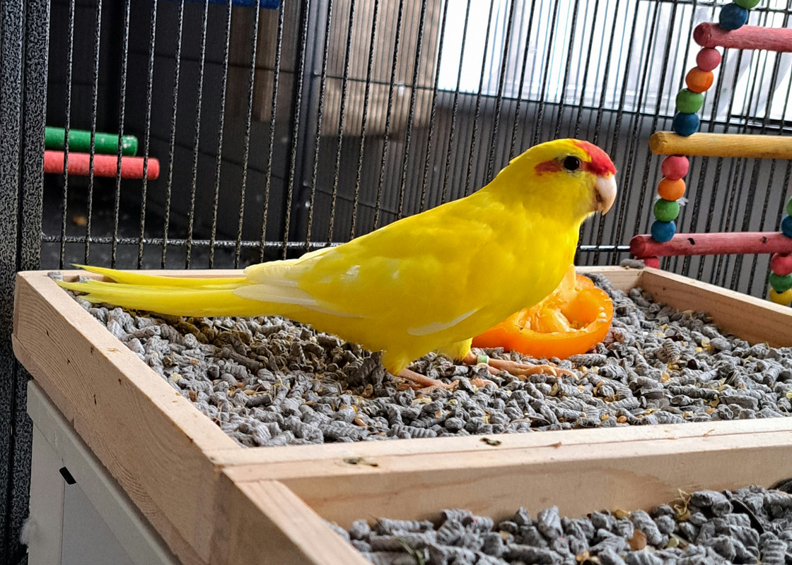 20230620 124148 — Postimages