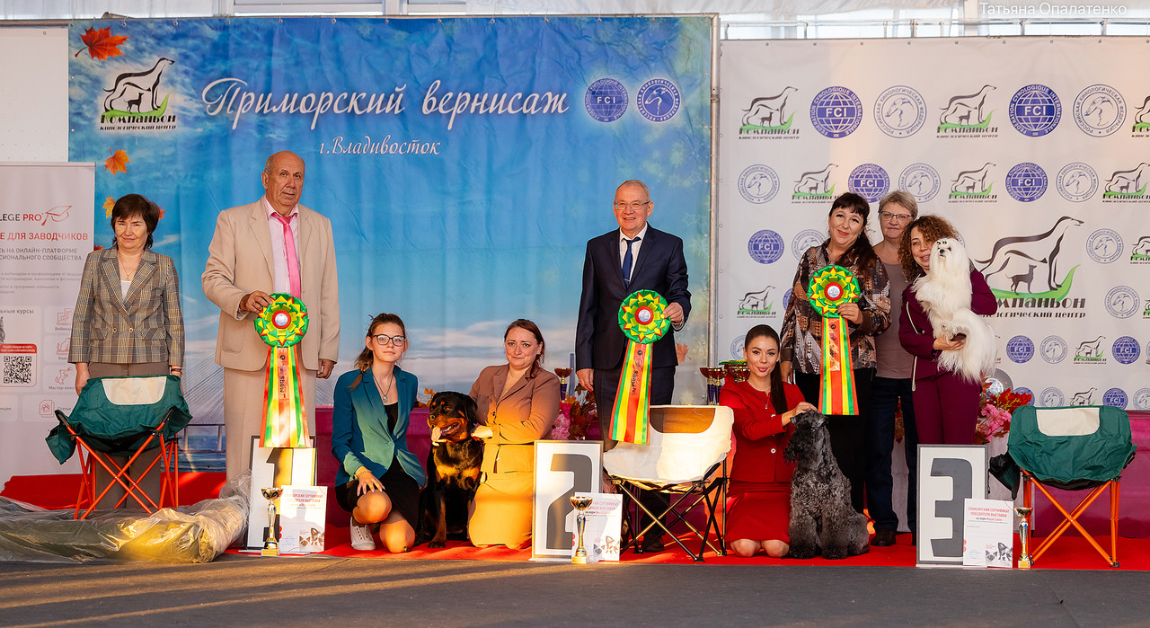 IMG 5467 — Postimages