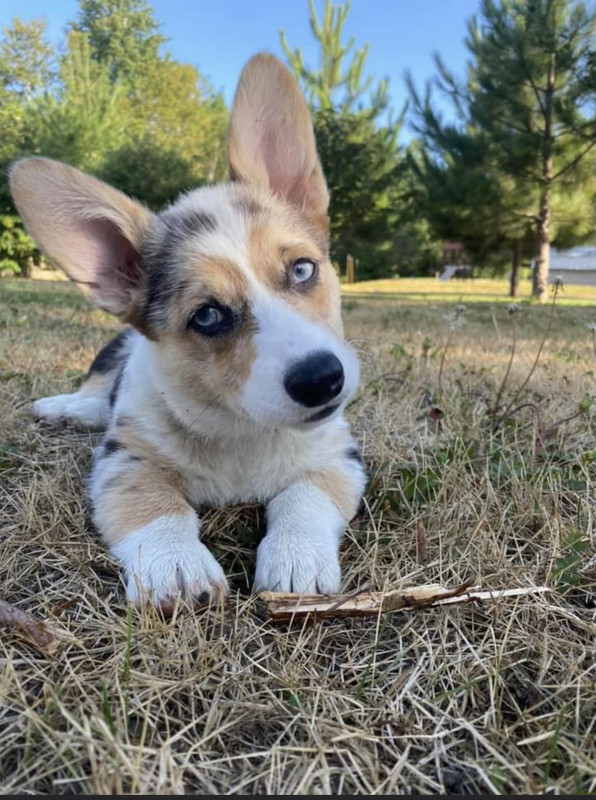 IMG 9463 — Postimages