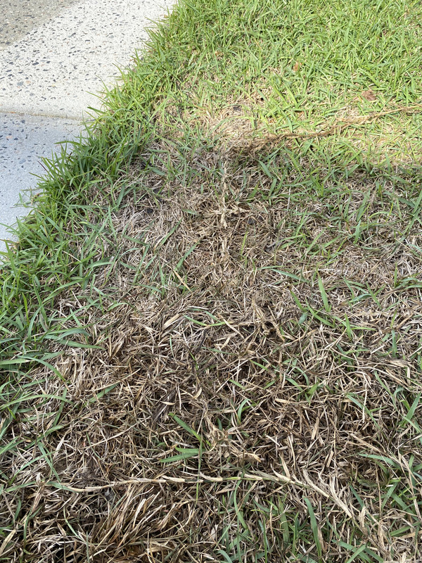 IMG 1012 — Postimages