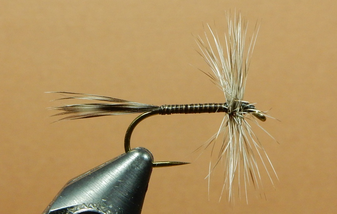 Gray Hackles - Fly Tying - Maine Fly Fish