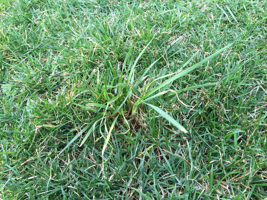 IMG 0045 — Postimages