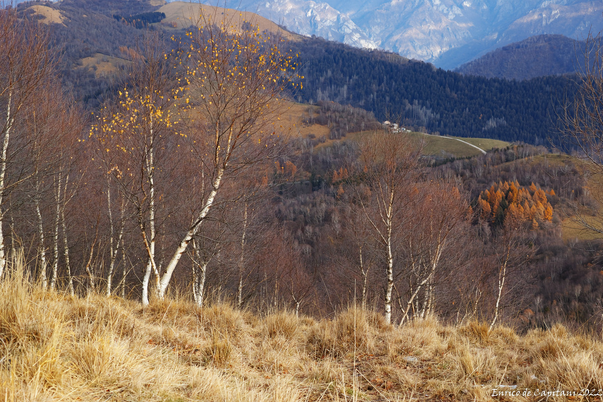 DP3 Q6860atmpers — Postimages