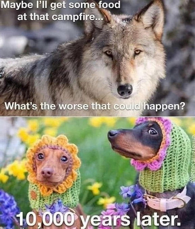 de856032bedbbee0 jpeg — Postimages