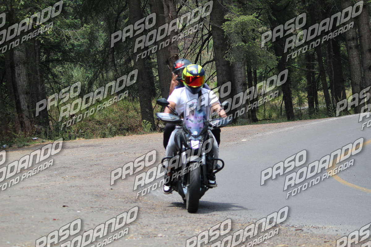 IMG 1079 wm 118061 09999999963 watermarked — Postimages