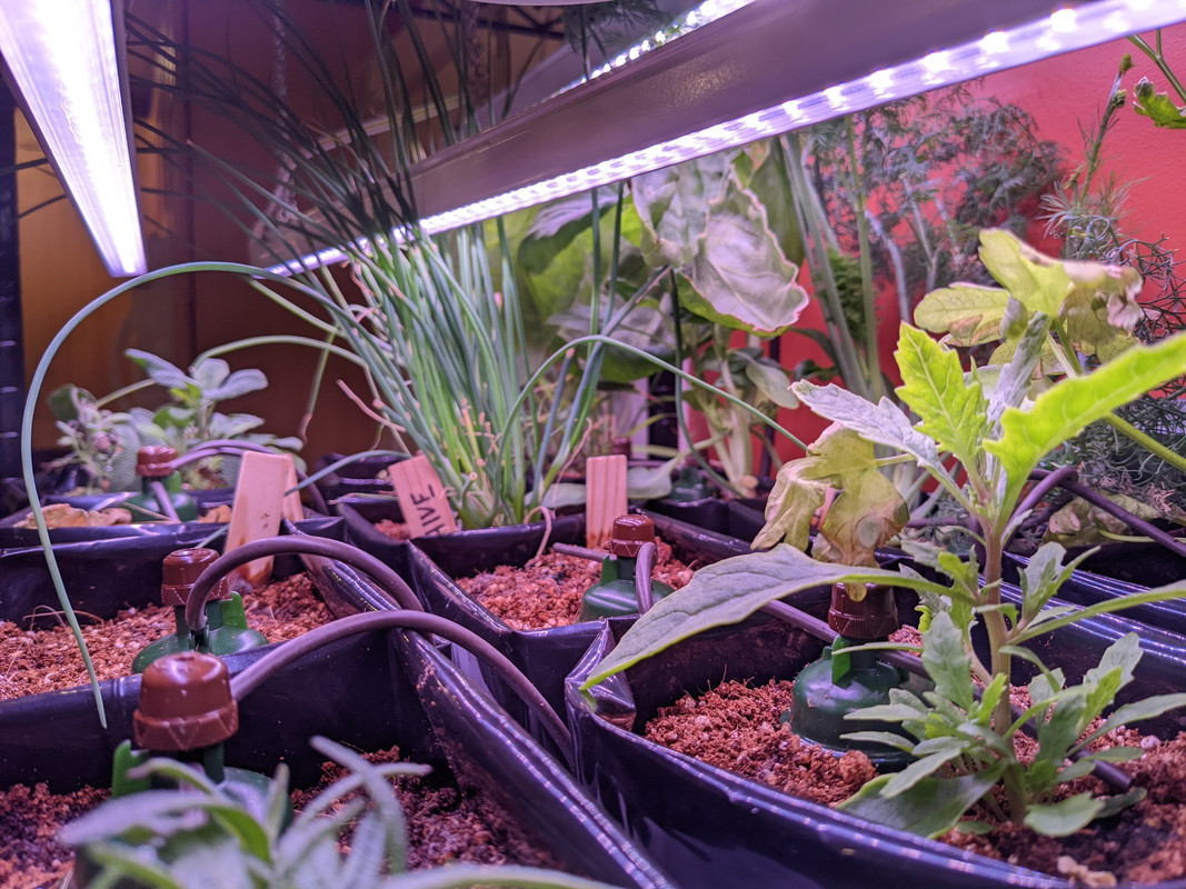 2-tier kitchen hydroponics : r/Hydroponics