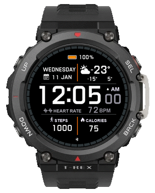 Watchface request for T Rex 2 | Amazfit Watch faces