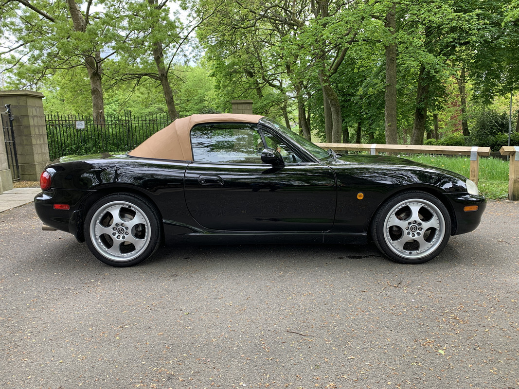 IMG 0978 — Postimages