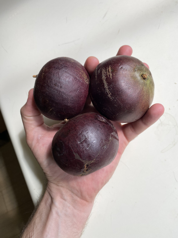 IMG 3240 — Postimages