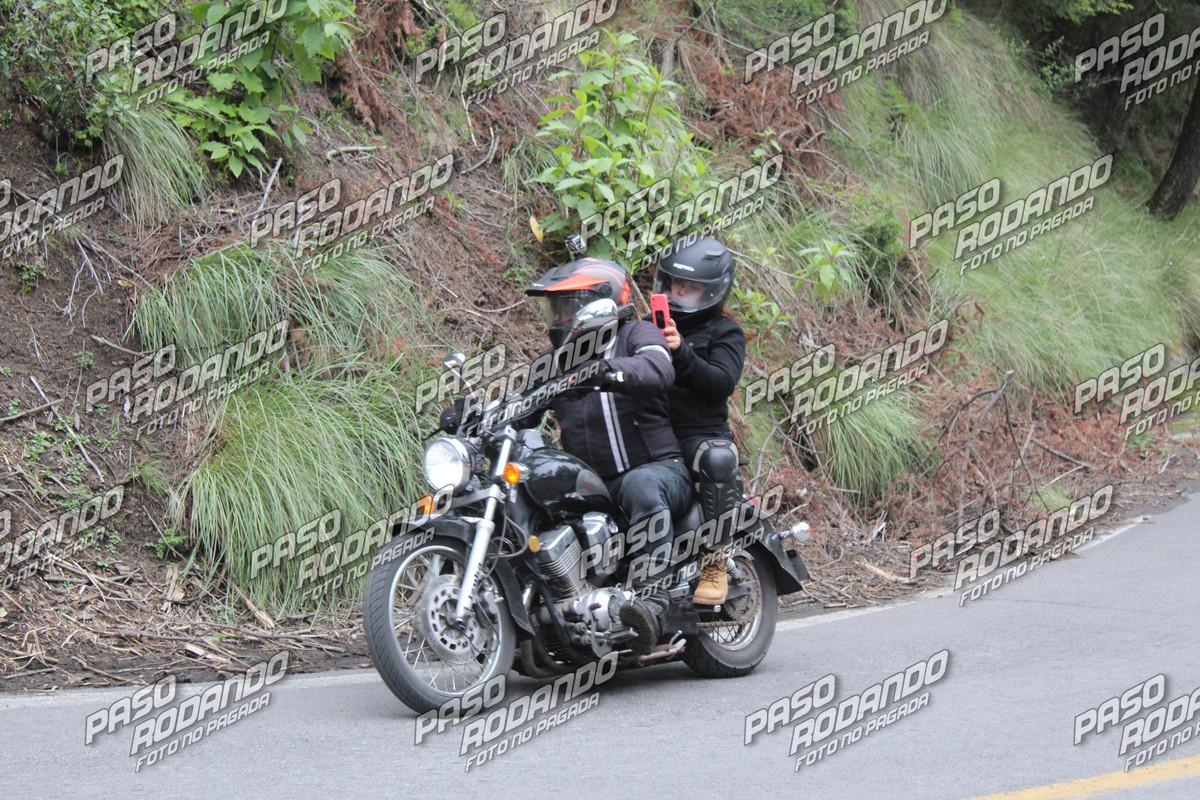 IMG 0002 wm 2274591 1999999997 watermarked — Postimages